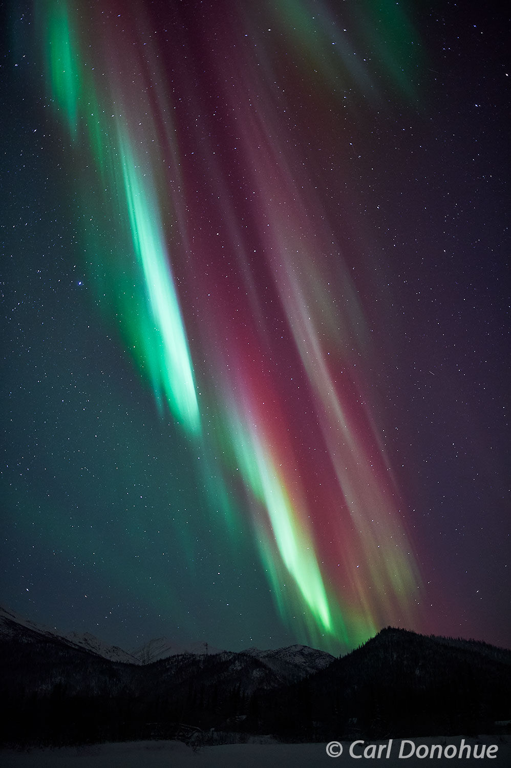 Northern Lights photo, Alaska | Alaska | Carl Donohue Photography